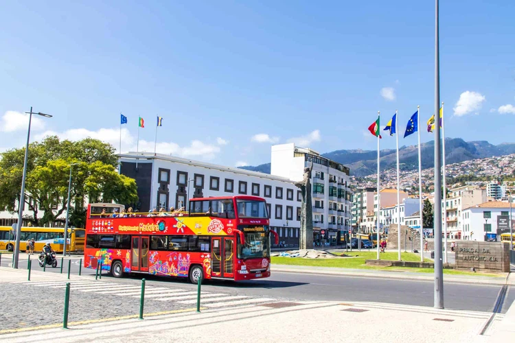 City SightSeeing